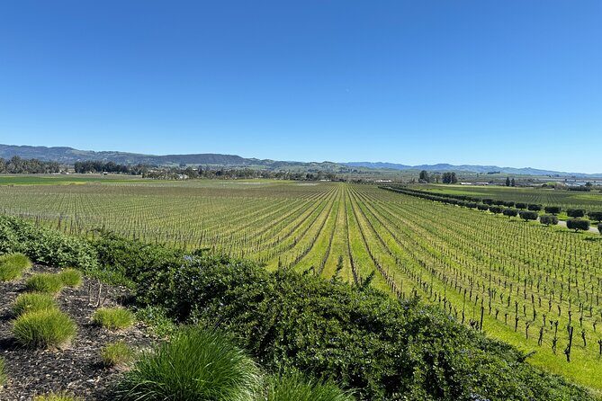 6 Hour Custom Napa or Sonoma Private Wine Tour - A Closer Look at the Experience