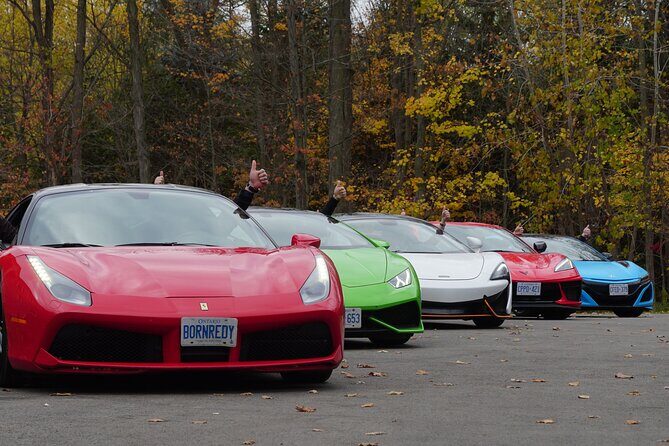 6 Hour Exotic Car Tour driving 6 Super cars + Lunch - Final Thoughts: Who Is This Tour For?