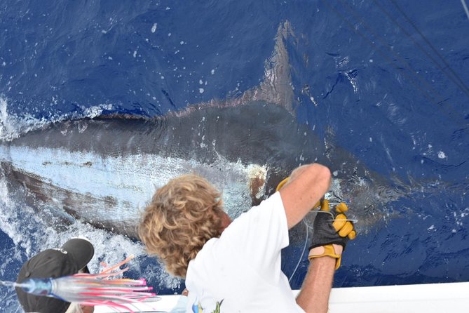 6 Hour Fishing Charter - An In-Depth Look at the 6-Hour Big Island Fishing Charter