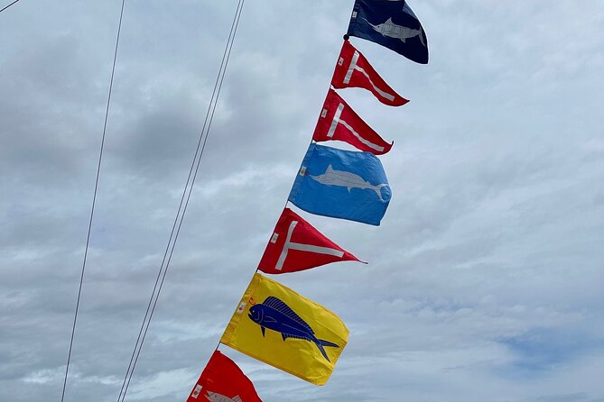 6 Hour Fishing Charter - Who Should Book This Tour?