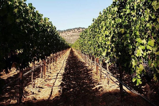6-Hour Luxury Napa Wine Tasting Tour with Route Planning - The Booking and Preparation