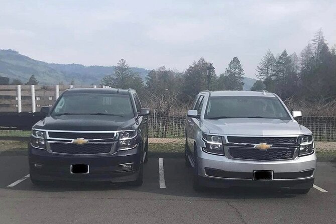 6 Hour Napa or Sonoma Valley Wine Tour by Private SUV - Experience the Best of Napa or Sonoma Valley