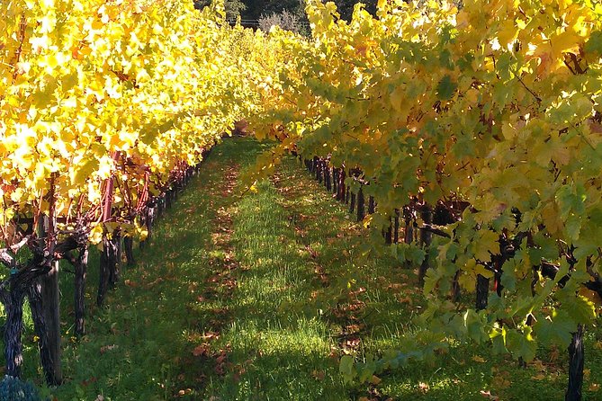 6 Hour Napa or Sonoma Valley Wine Tour by Private SUV - Customizing Your Wine Tour Itinerary