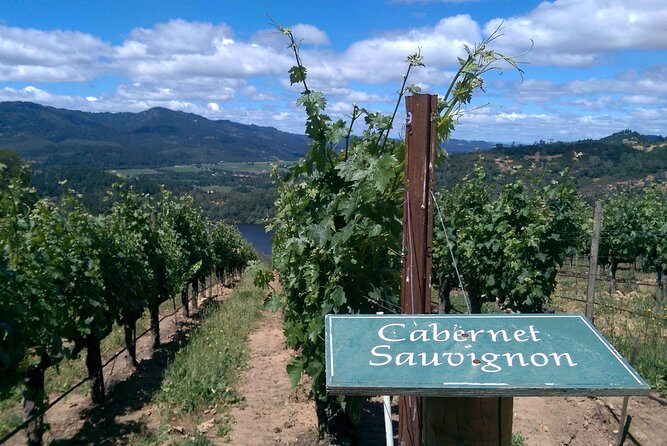 6 Hour Napa or Sonoma Wine Tour in Private Limousine - Final Thoughts: Who Is This Tour Best For?