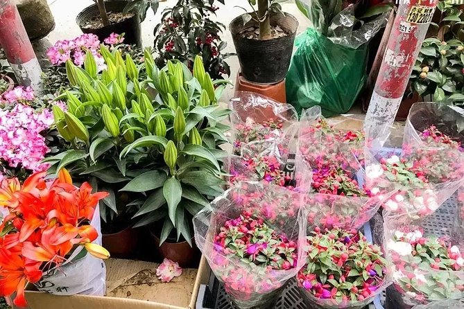 6-Hour Private Beijing Tour: Flower and Fish Market, Panjiayuan Antique Market and 798 Art Zone - Final Thoughts