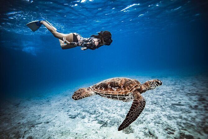 6 Hour Private Boat Activity with Snorkeling & Lunch - An In-Depth Look at the Tour Experience