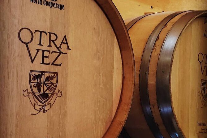 6 Hour Private Cabernet Sauvignon Wine Tour in Napa Valley - Is It Worth the Price?