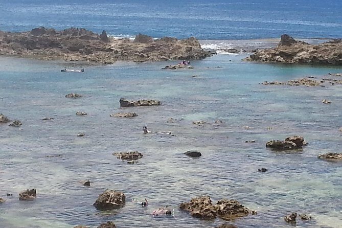 6-Hour Private Customized Luxury Convertible Tour of Oahu's North Shore - What Travelers Say: Authentic Insights from Reviews