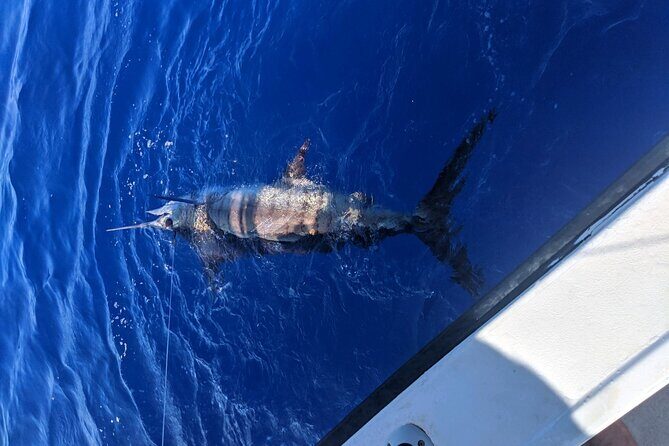 6 Hour Private Fishing Charter Kona, Hawaii - Final Thoughts on Value and Who It’s For