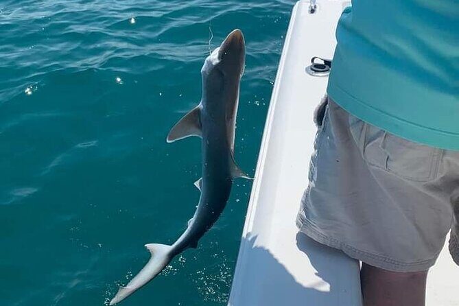 6 Hour Private Fishing Tour in Sarasota with Master Captain Bill - Why Choose This Tour?