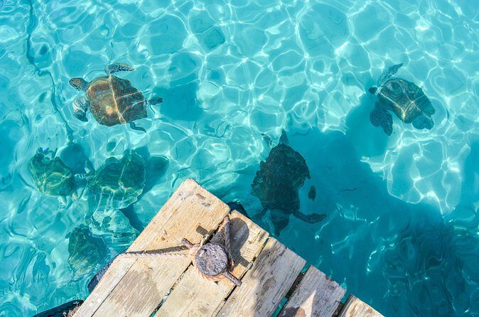 6 Hour Private Guided Tour Beyond the Beaches of Curacao - The Overall Experience: What Youll Take Away