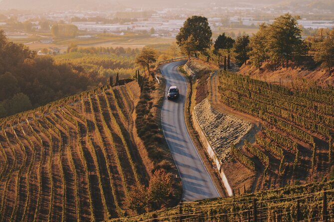 6-hour Private Luxury SUV Wine Tour in Napa Or Sonoma Valley - The Itinerary and What You Can Expect