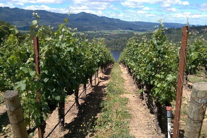 6-Hour Private Napa Limousine Wine Tour (Style & Wine) - FAQ