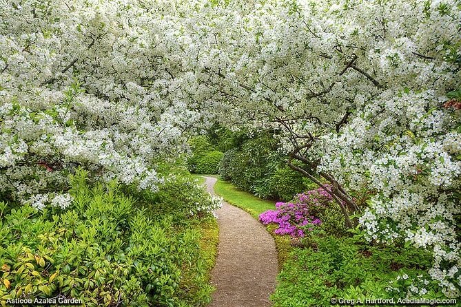 6 Hour Private Tour: Acadia National Park, Fjord & Lobster Lunch - Exploring the Key Highlights