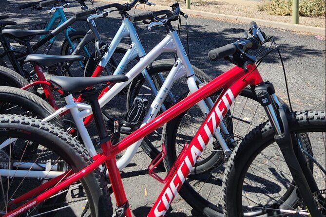 6-Hour Regular Bike Rental From Tucson - An Honest Look at the Bike Rental Experience in Tucson