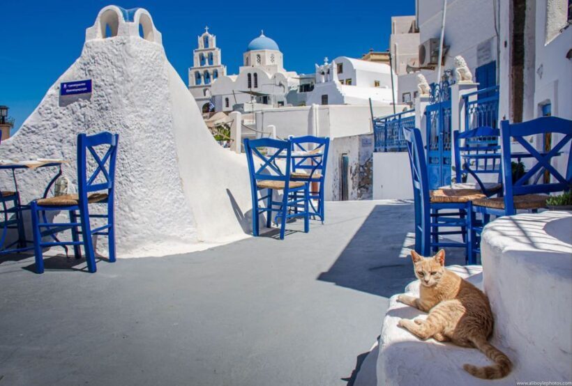 6-Hour Sightseeing Private Guided Tour by Van - Why This Tour Works Well