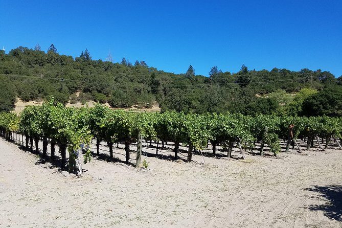 6 Hour Sonoma Pinot Noir and or Zinfandel Wine Tasting Tour - Final Thoughts