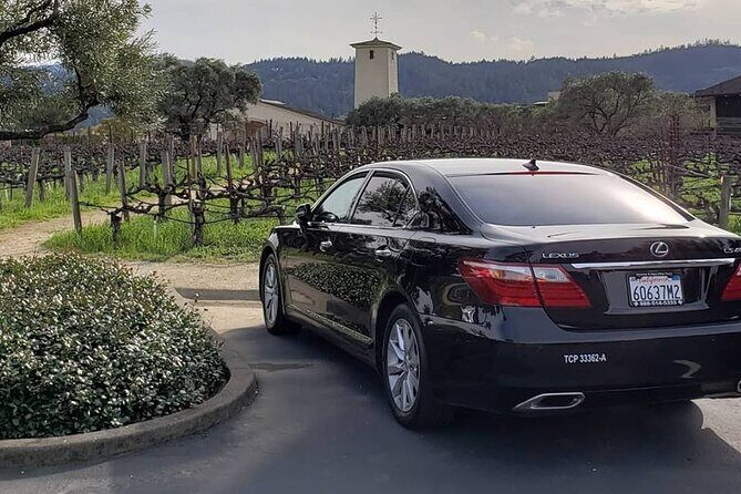 6 Hour Sonoma Wine Tasting Tour from San Francisco - Introduction