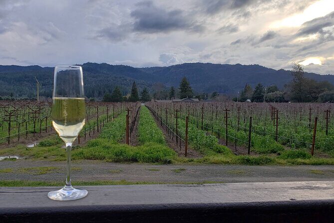 6-Hour Sparkling Wine Tour of Napa Valley - The Sum Up