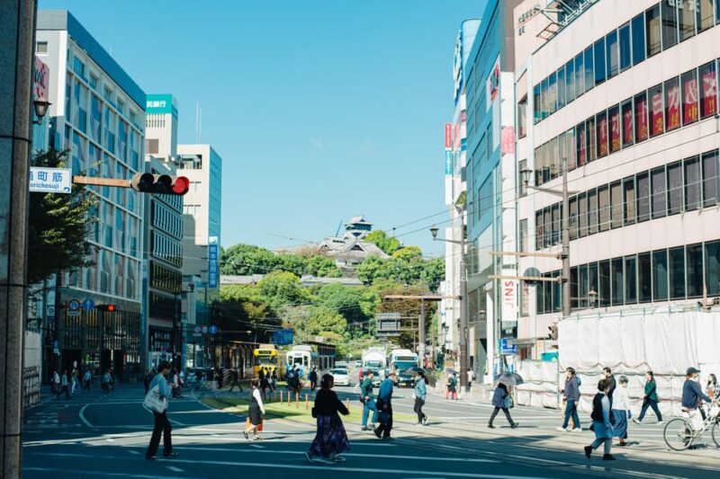 6-Hour Tour: Pick 2 –Kumamoto Castle, Castle Town, Suizenji - Kumamoto Castle