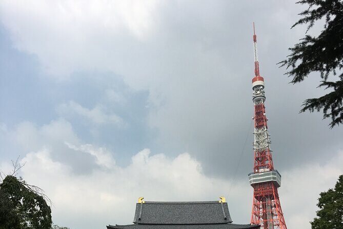 6-Hour-Tour Tokyo Highlights - Final Thoughts