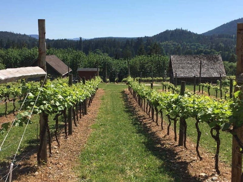 6-Hour Victoria to Cowichan Wine Tour - Exploring the 6-Hour Victoria to Cowichan Wine Tour: A Balanced Look at a Popular BC Experience
