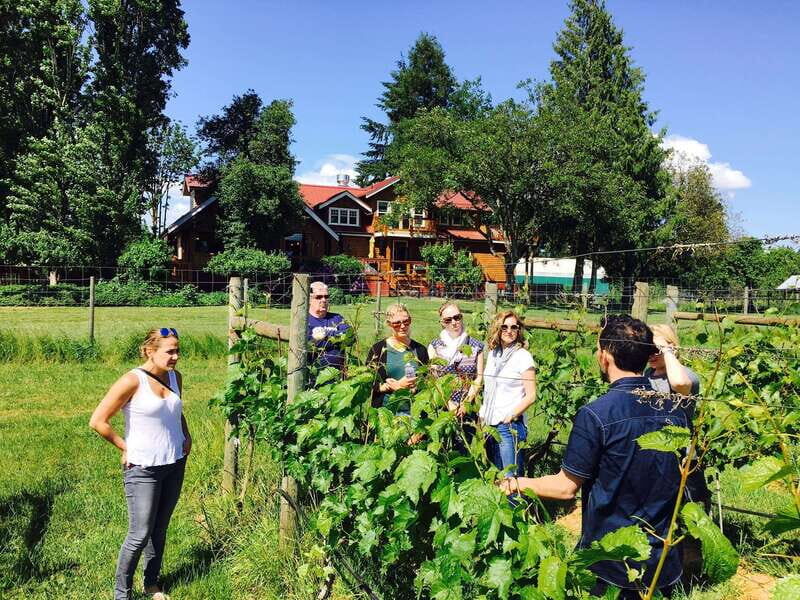 6-Hour Victoria to Cowichan Wine Tour - What the Wineries Offer