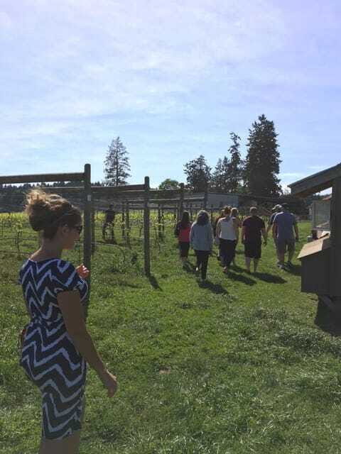 6-Hour Victoria to Cowichan Wine Tour - Transportation and Practicalities