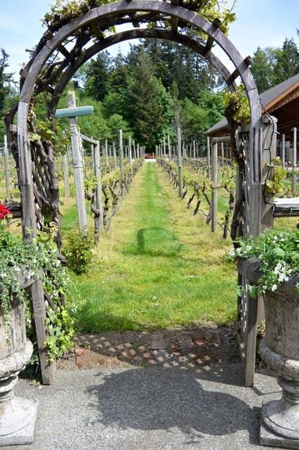 6-Hour Victoria to Cowichan Wine Tour - Final Words