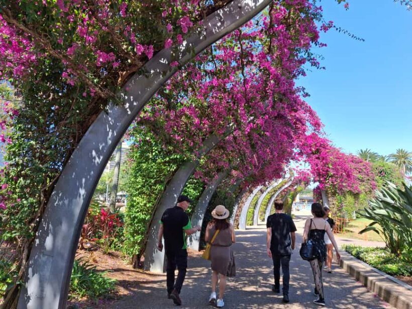 6 Hour Welcome to Brisbane Private Sightseeing Private Tour - Final Thoughts: Who Should Consider This Tour?