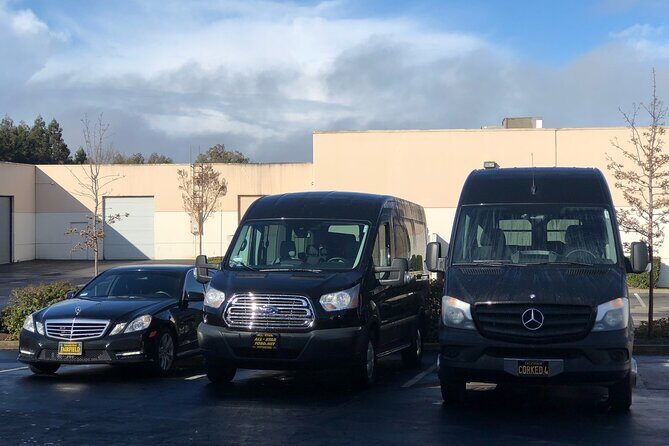 6-Hour Wine Country Tour from San Francisco - The Itinerary Breakdown: What to Expect