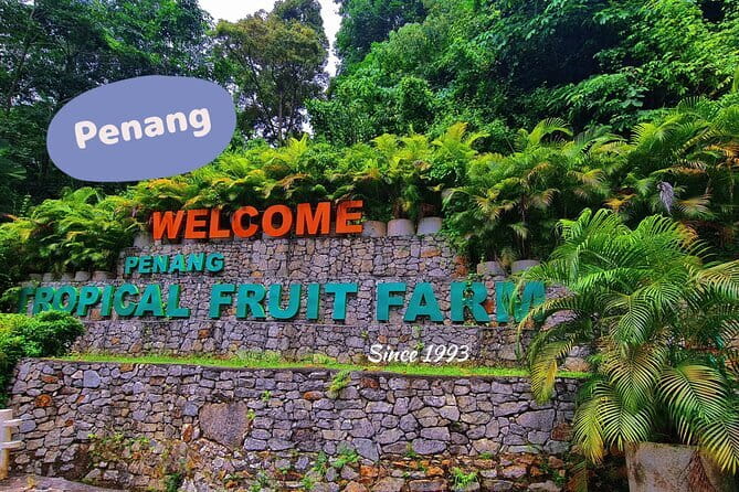 6 Hours Enchanting Exploration in Penang - Final Thoughts: Is It Worth It?