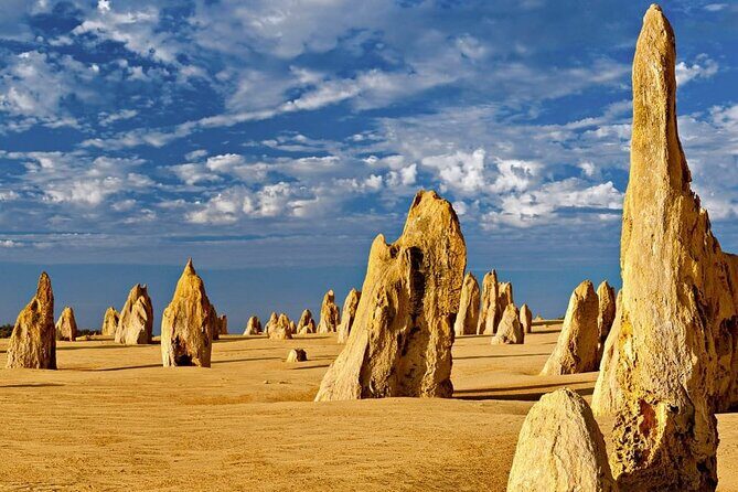 6 Hours Pinnacles Express Tour - Key Points