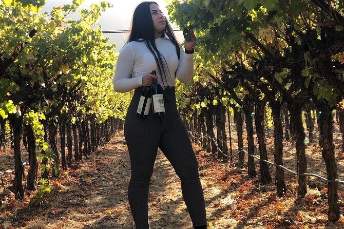 6 Hours Private 6 passenger SUV for Napa or Sonoma Wine Tours - Reviews and Feedback