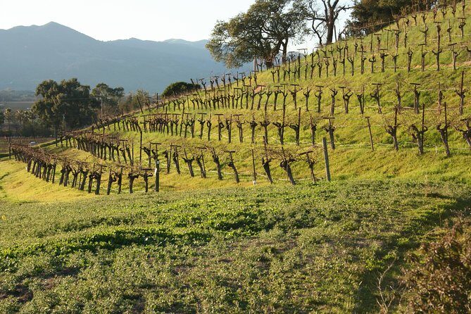 6-Hours Private Napa Wine Tour in a MKT sedan ( 2 Passengers) - Practical Details: Transportation, Pricing, and Booking