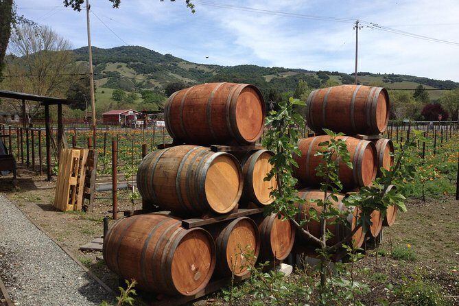 6-Hours Private Napa Wine Tour in a MKT sedan ( 2 Passengers) - The Sum Up