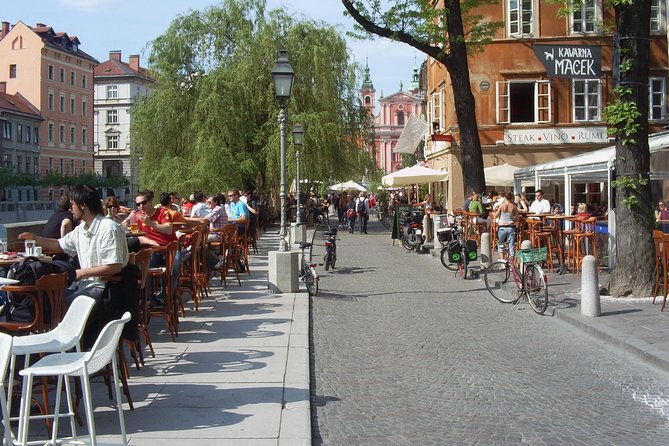 6 Hours Private Shore Excursion to Ljubljana from Koper - Practical Considerations