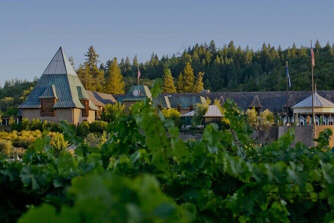 6 Hours Private Wine Tour in Healdsburg Featuring Coppola Winery - The Itinerary in Detail: What to Expect at Each Stop