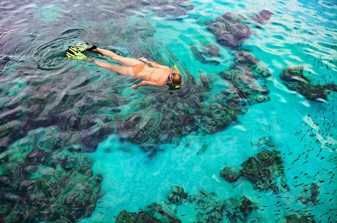 6 Hours Rose Island Tour with Snorkeling Experience and Lunch - Who Will Love This Tour?