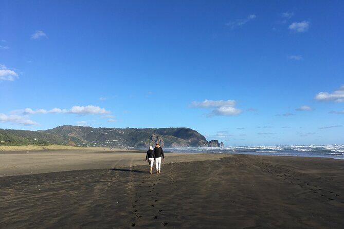 6 Hours Sightseeing Tour in Auckland - An In-Depth Look at the Tour Experience