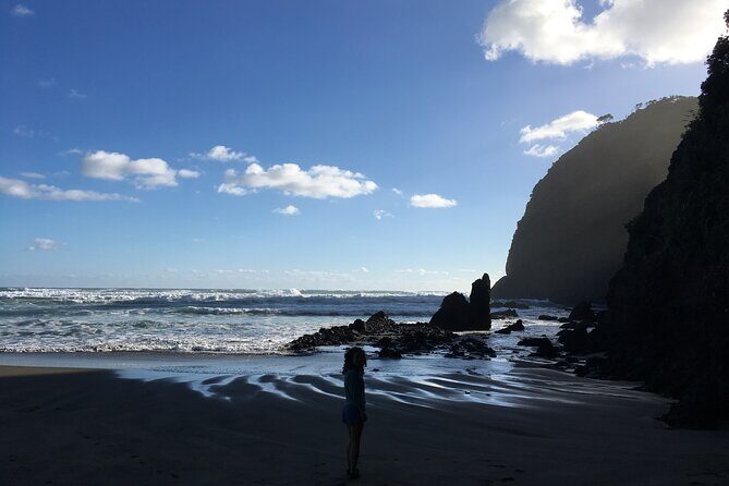 6 Hours Sightseeing Tour in Auckland - In The Sum Up