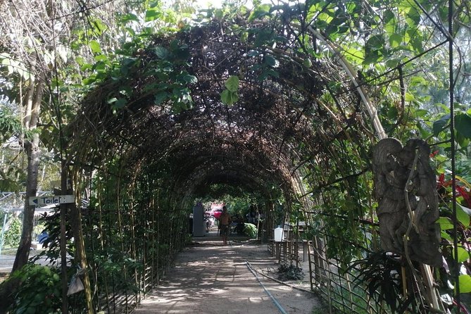 6 Hrs Off Road 4x4 Adventure of Hidden Gems In Koh Samui Hills 5 - 8 Persons - What Travelers Say