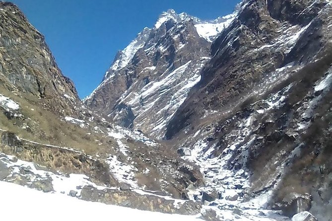 6 Night 7 Days ABC Trek - Pricing and Value