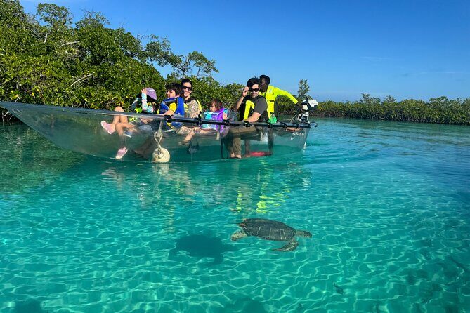 6-Passenger Motorized Clear Kayak Mangrove Tour in Providenciales - Key Points
