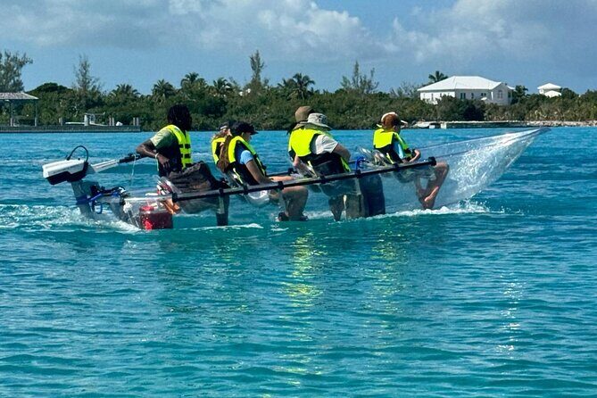 6-Passenger Motorized Clear Kayak Mangrove Tour in Providenciales - A Closer Look at the Tour Experience