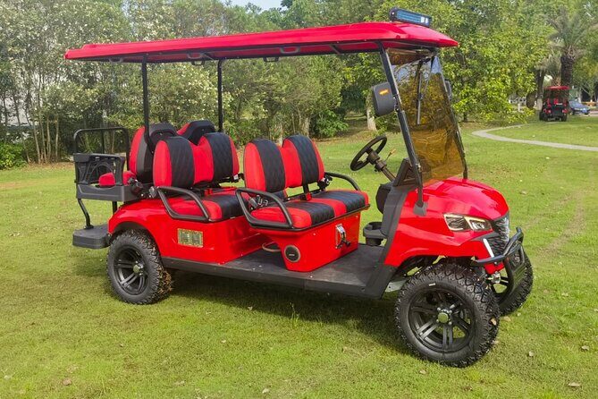 6 Seater Luxury Golf Carts Rental in Grand Turk - What to Expect from Your Day