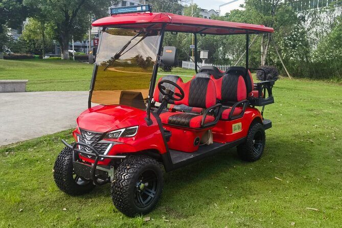 6 Seater Luxury Golf Carts Rental in Grand Turk - Who Should Consider This?