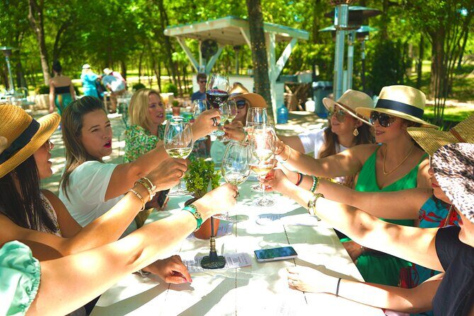 6 to 11 Guests Fredericksburg Private Van 5 hour Wine Tour - An In-Depth Look at the Fredericksburg Wine Tour