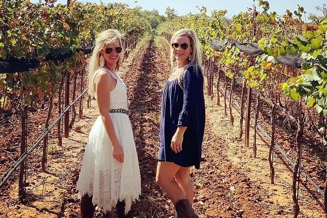 6 to 11 Guests Fredericksburg Private Van 5 hour Wine Tour - Who This Tour Suits Best