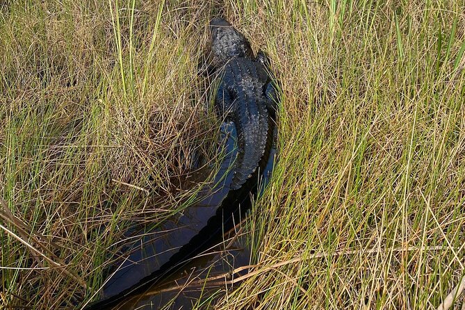 60 Minute Small Group Semi Private Everglades River Of Grass Airboat Charter - Booking and Cancellation Policy
